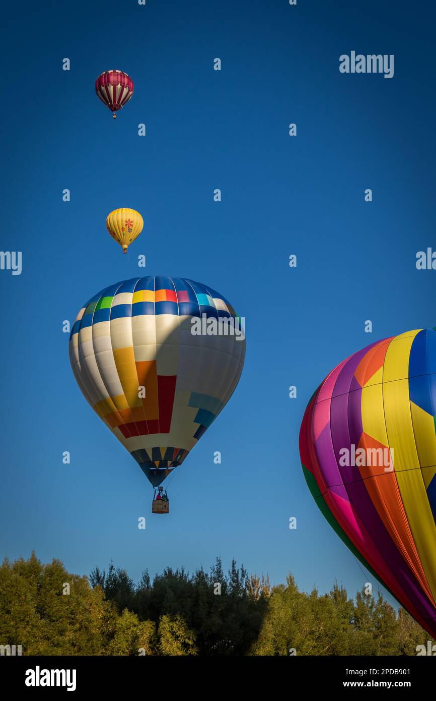 Four Hot Air Balloons in a Line Flying at Different Altitudes Stock ...