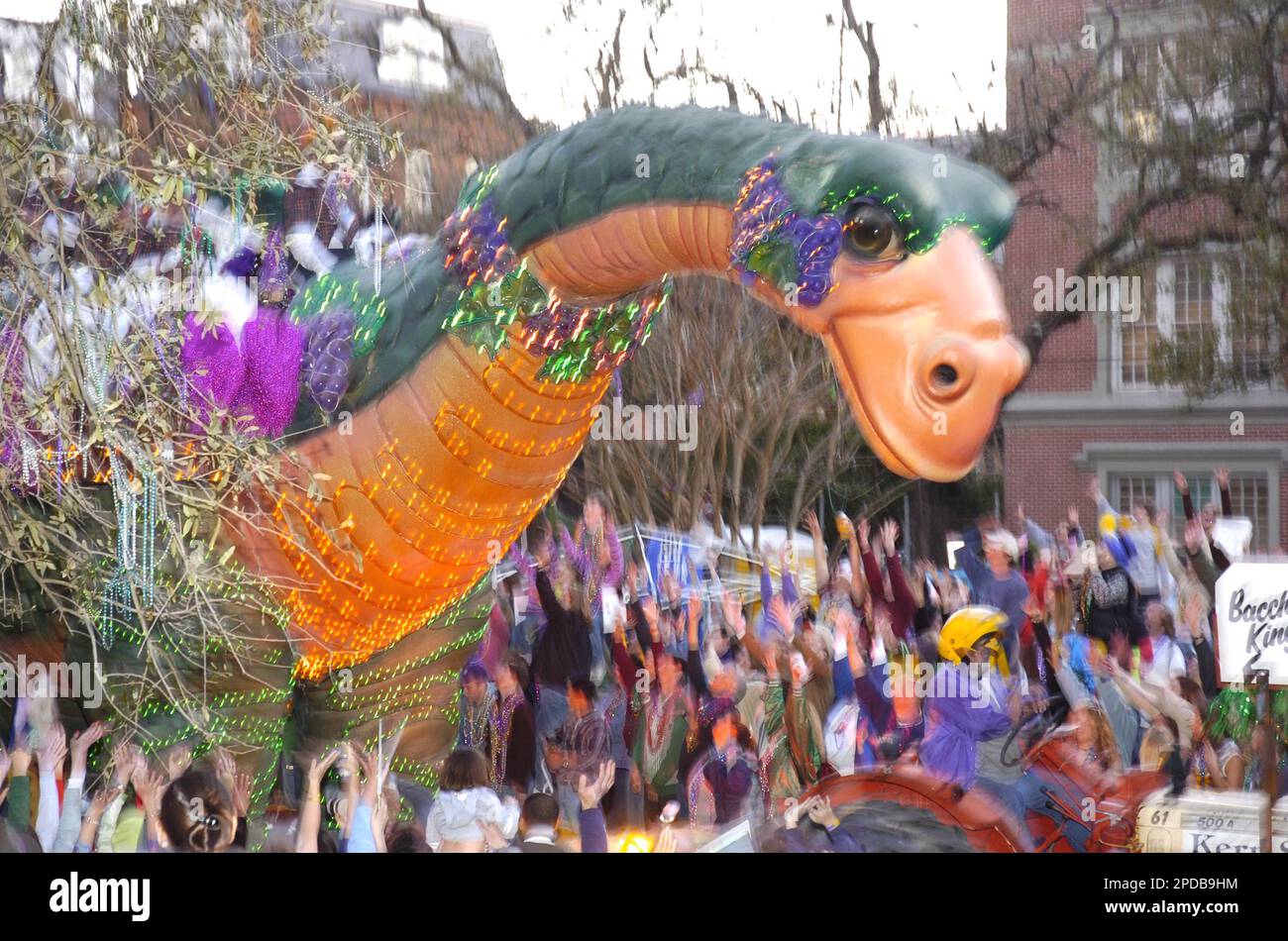 The float Bacchasaurus makes it's way up Napoleon Ave. during the Krewe ...