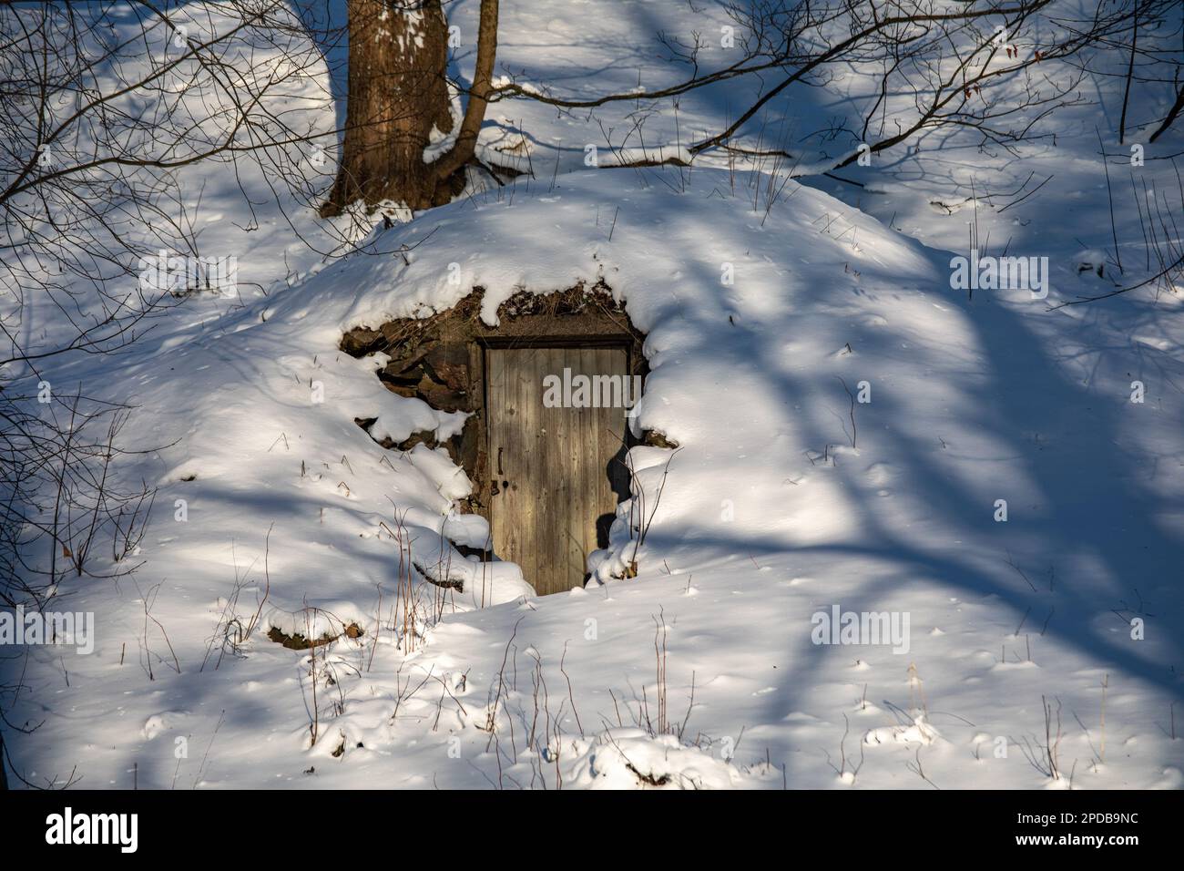 Root cellar hi-res stock photography and images - Alamy
