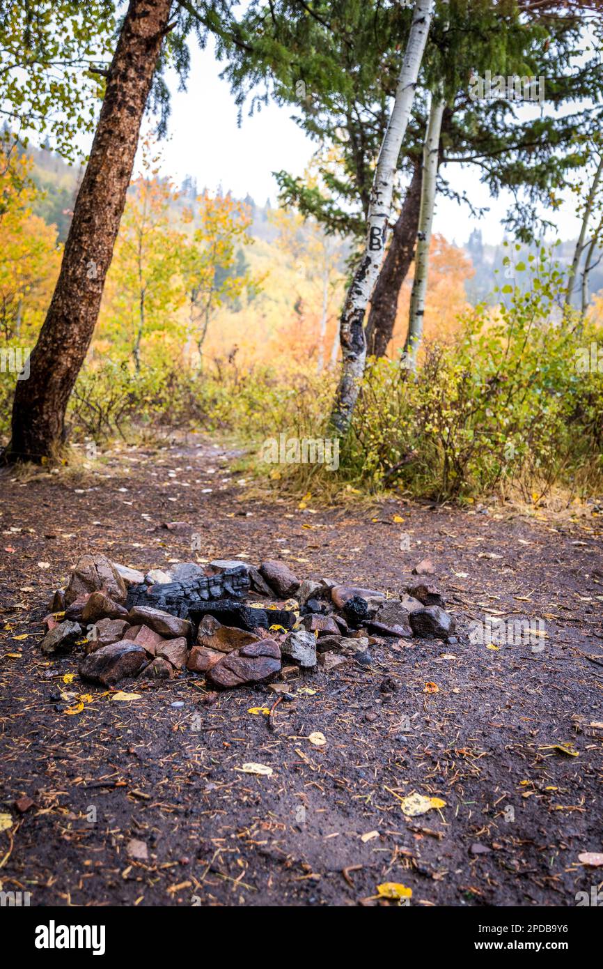 Fire pit in woods hi-res stock photography and images - Alamy