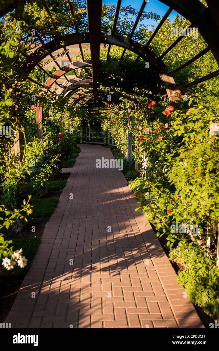 Trellis walk walkway path hi-res stock photography and images - Alamy