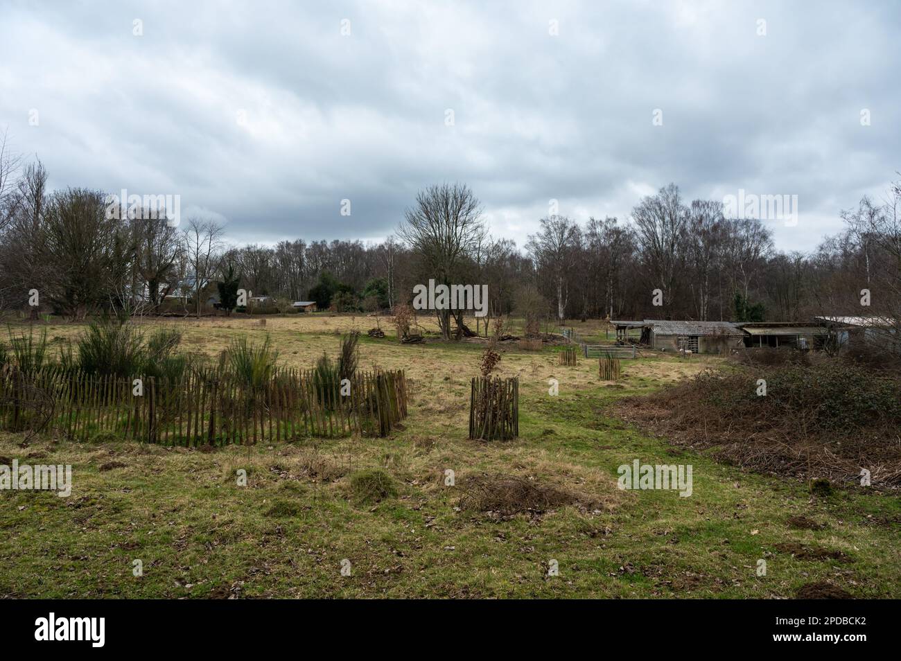 The green wild fields of the England plateau, Uccle, Brussels, Belgium ...