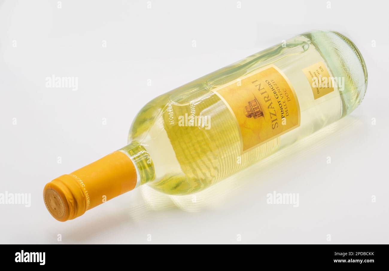 Sizarini hi-res stock photography and images - Alamy