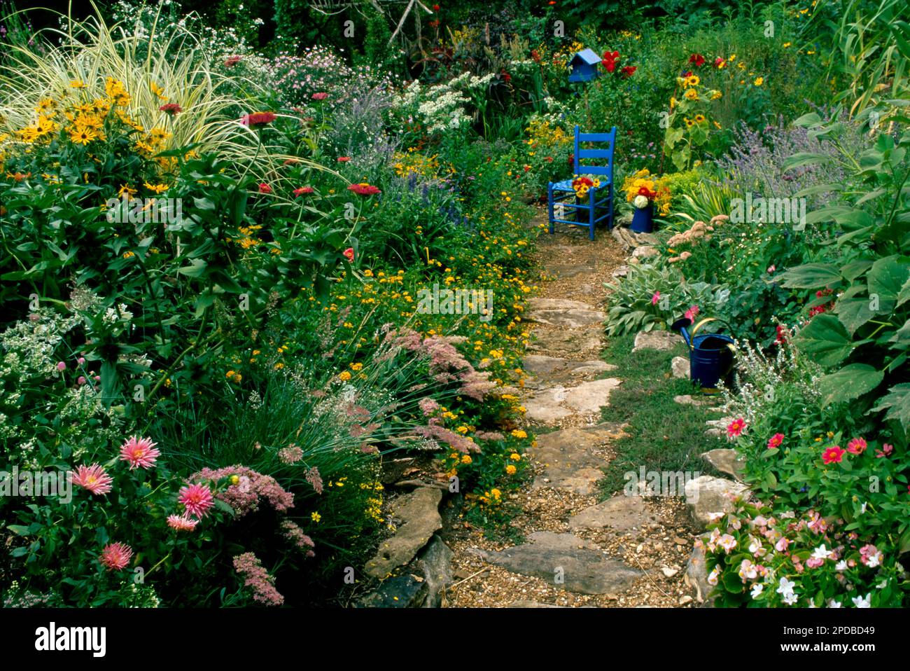 Colorful blooming pathway made of stones through flower garden to a ...