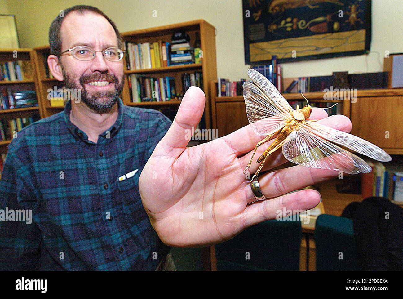 University of Wyoming professor Jeff Lockwood displays a desert locust ...