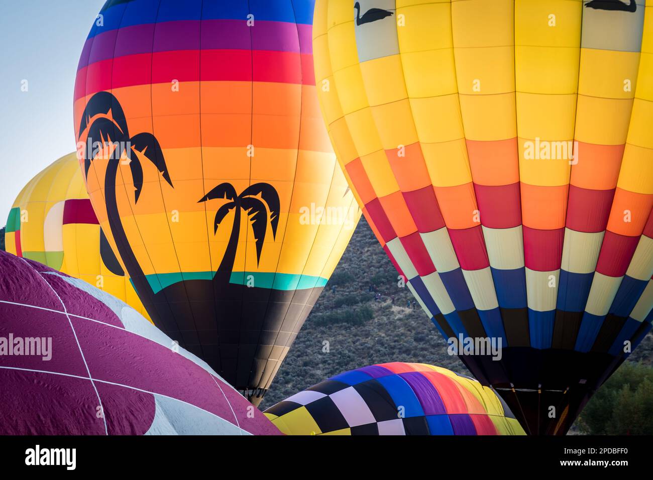 Group of Hot Air Balloons Getting Ready for Takeoff Stock Photo - Alamy