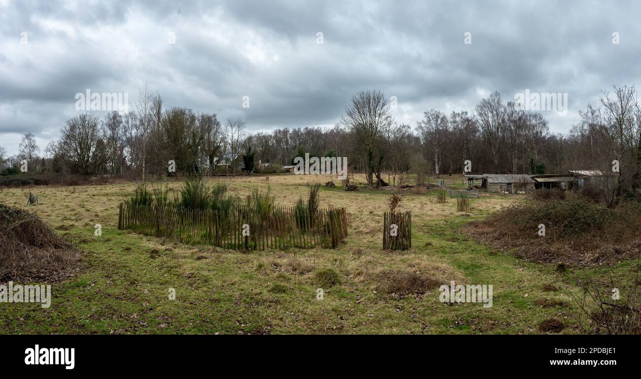 The wild fields hi-res stock photography and images - Alamy