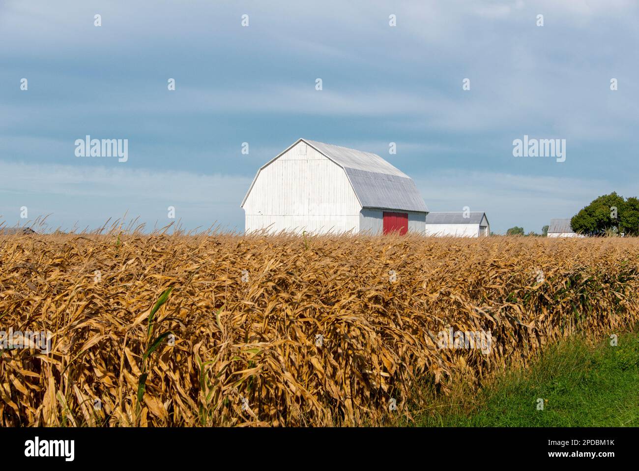 Abandoned village quebec hi-res stock photography and images - Alamy