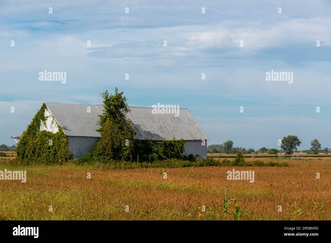 Old barn in the southern region of Quebec Stock Photo - Alamy