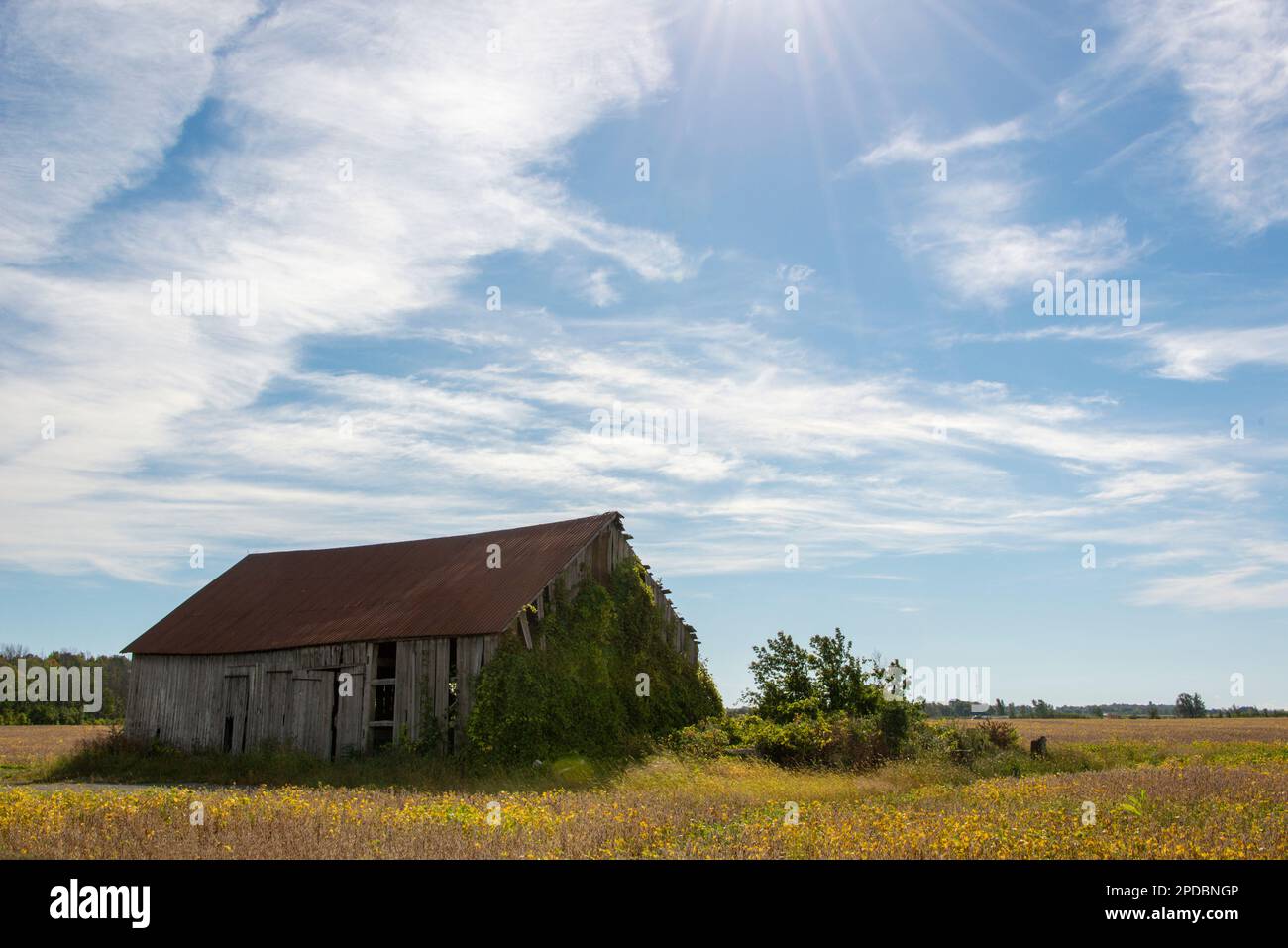 Old barn in the southern region of Quebec Stock Photo - Alamy