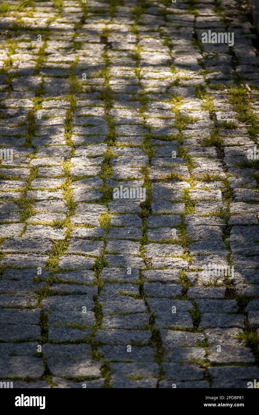 Grey Brick Path with Grass Between Bricks Stock Photo - Alamy
