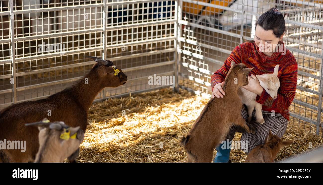 Female farmer feeding and playing with goatlings Stock Photo - Alamy