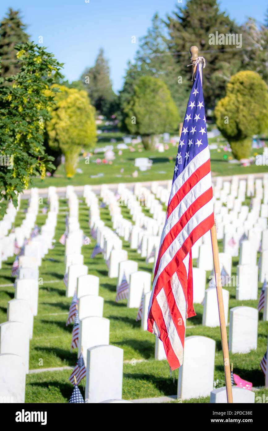 Military headstones honoring armed forces servicemen decorated with ...