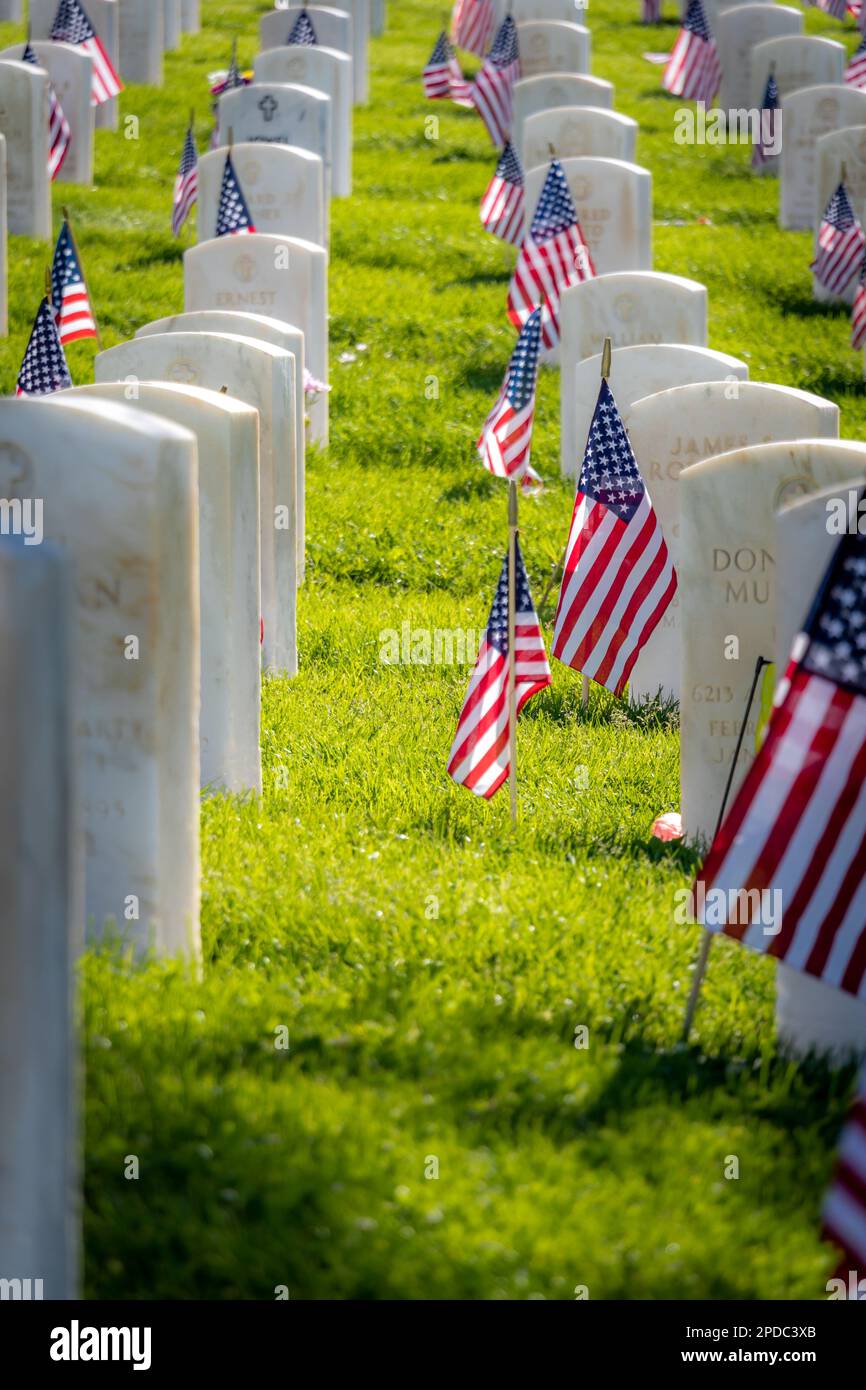 Military headstones honoring armed forces servicemen decorated with ...