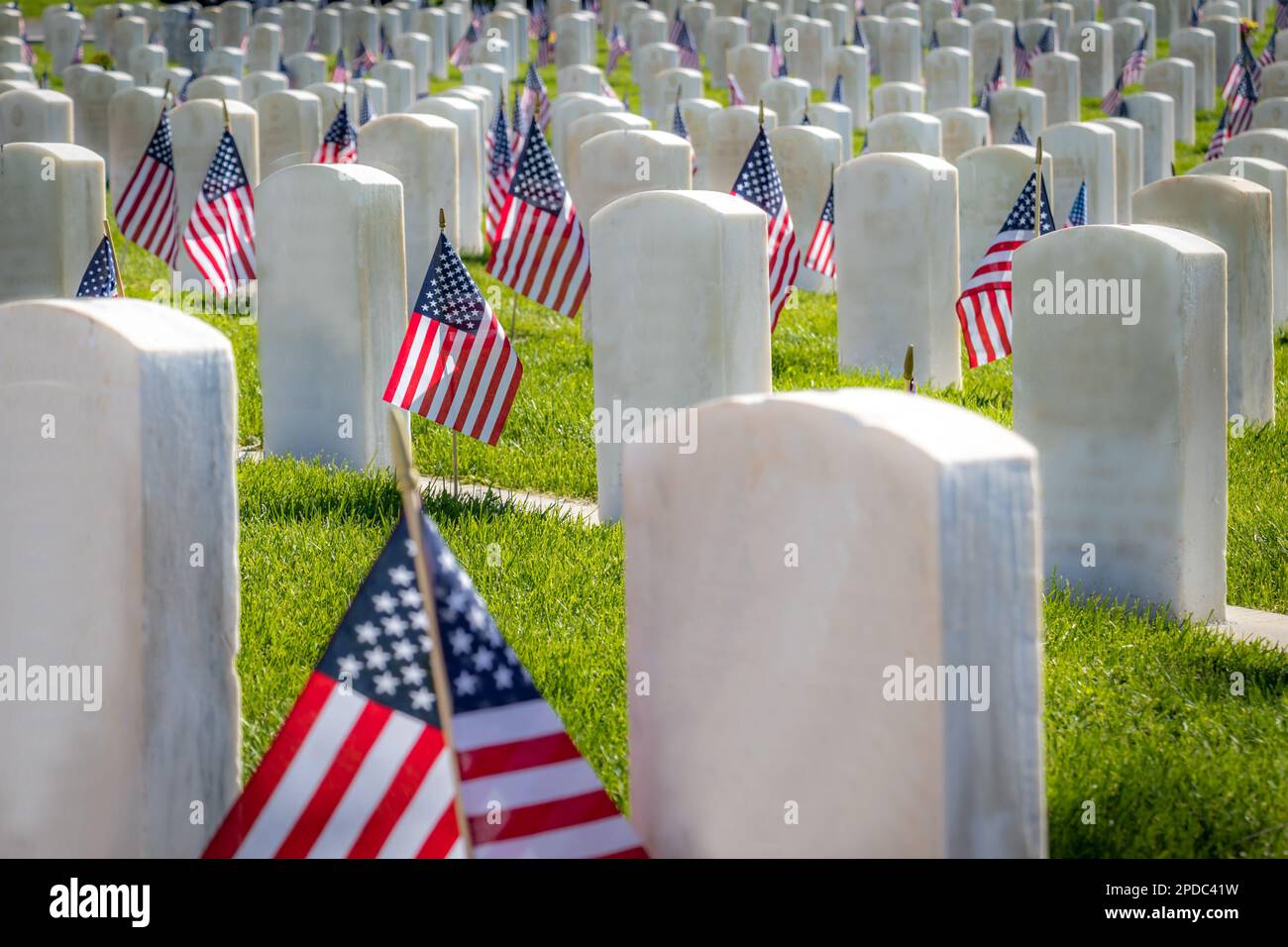 Military headstones honoring armed forces servicemen decorated with ...