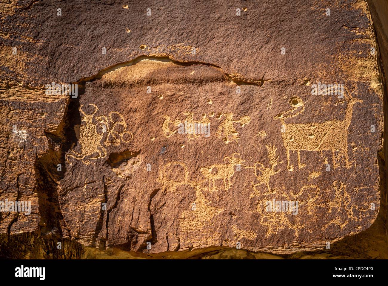Petroglyphs of big horns sheep and indigenous people on sandstone rock ...