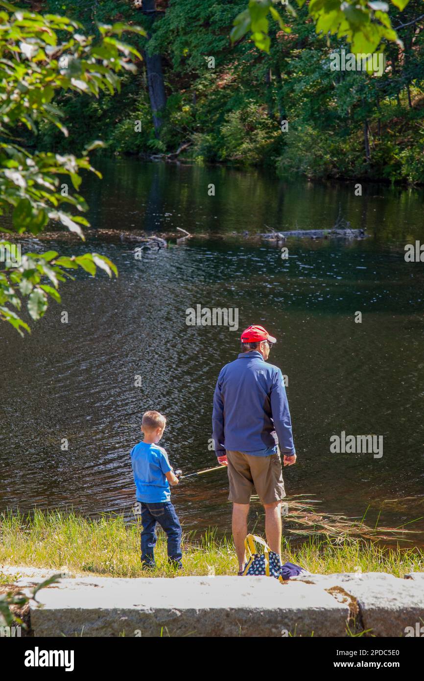 New Hampshire, Allenstown, Bear Brook State Park Stock Photo - Alamy