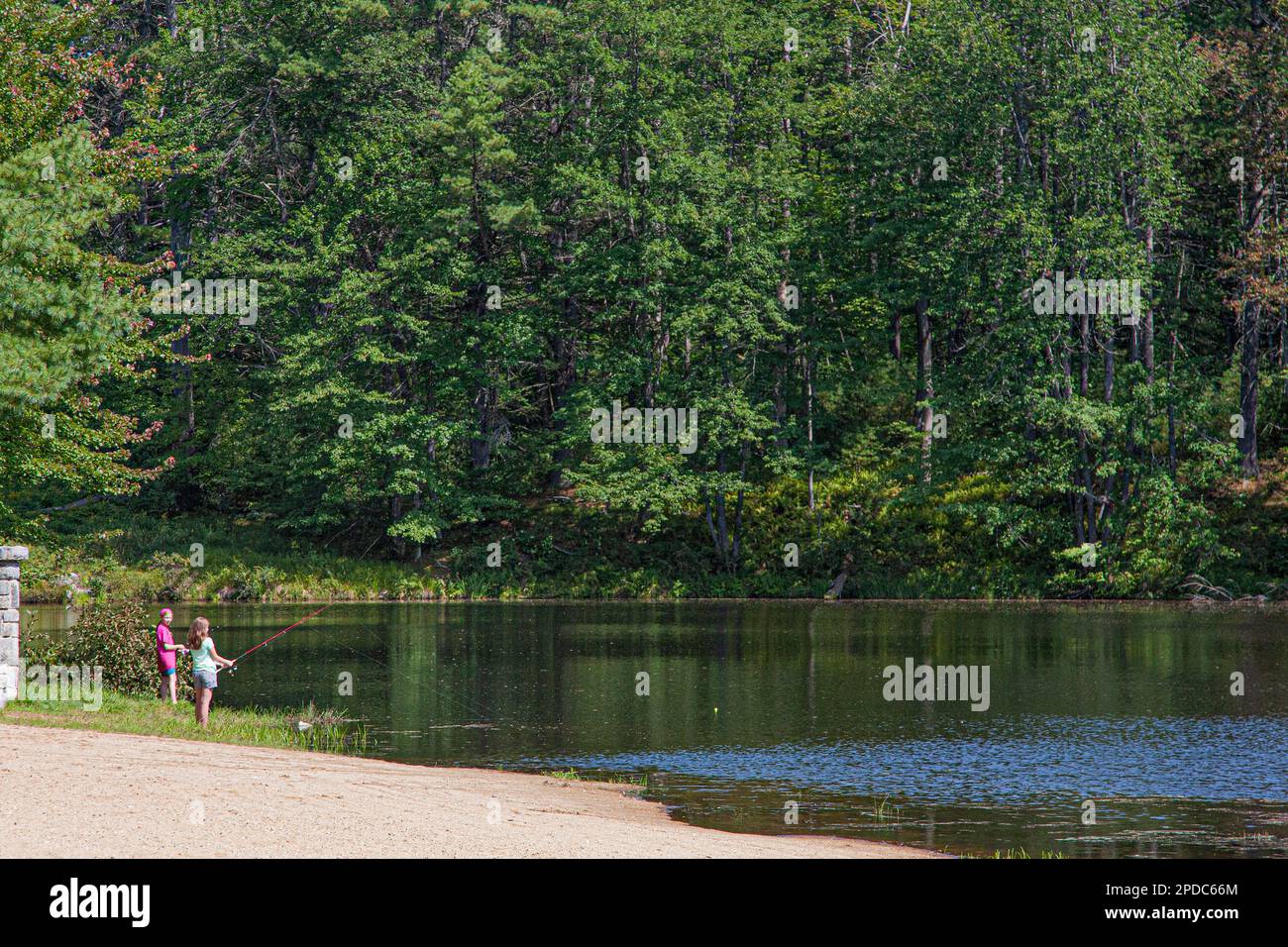 Great bear recreation park hi-res stock photography and images - Alamy