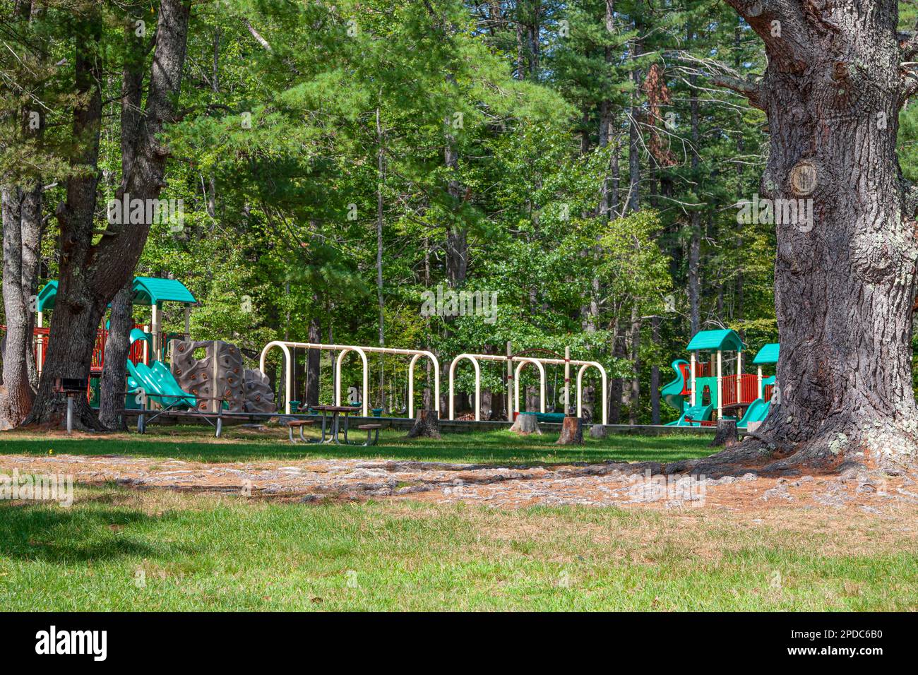 New Hampshire, Allenstown, Bear Brook State Park Stock Photo - Alamy