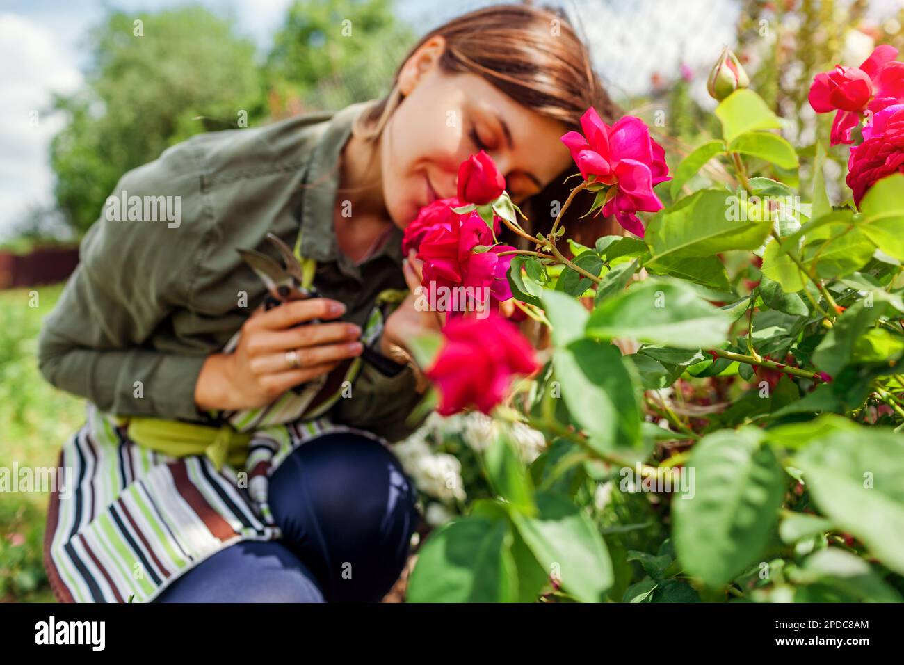 William shakespeare holding hi-res stock photography and images - Alamy