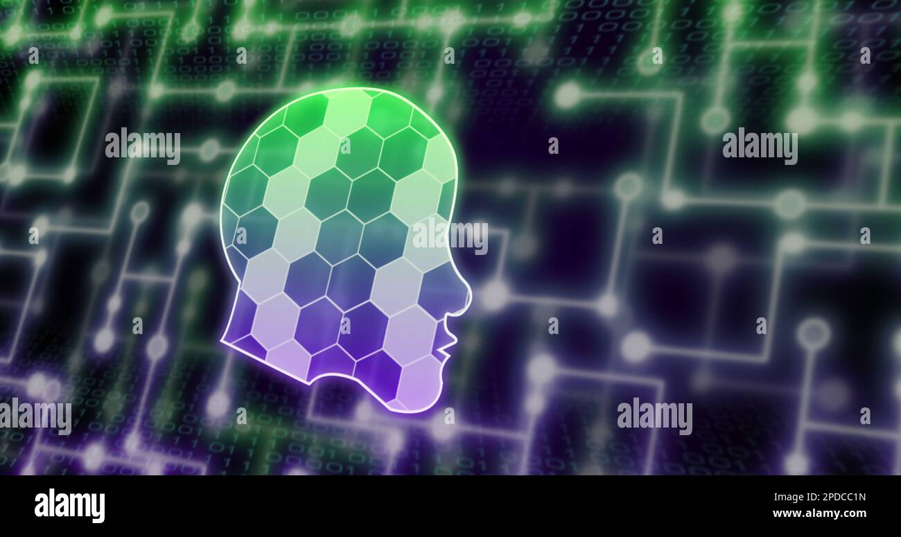 Image Of Digital Head Over Network Of Connections And Binary Coding