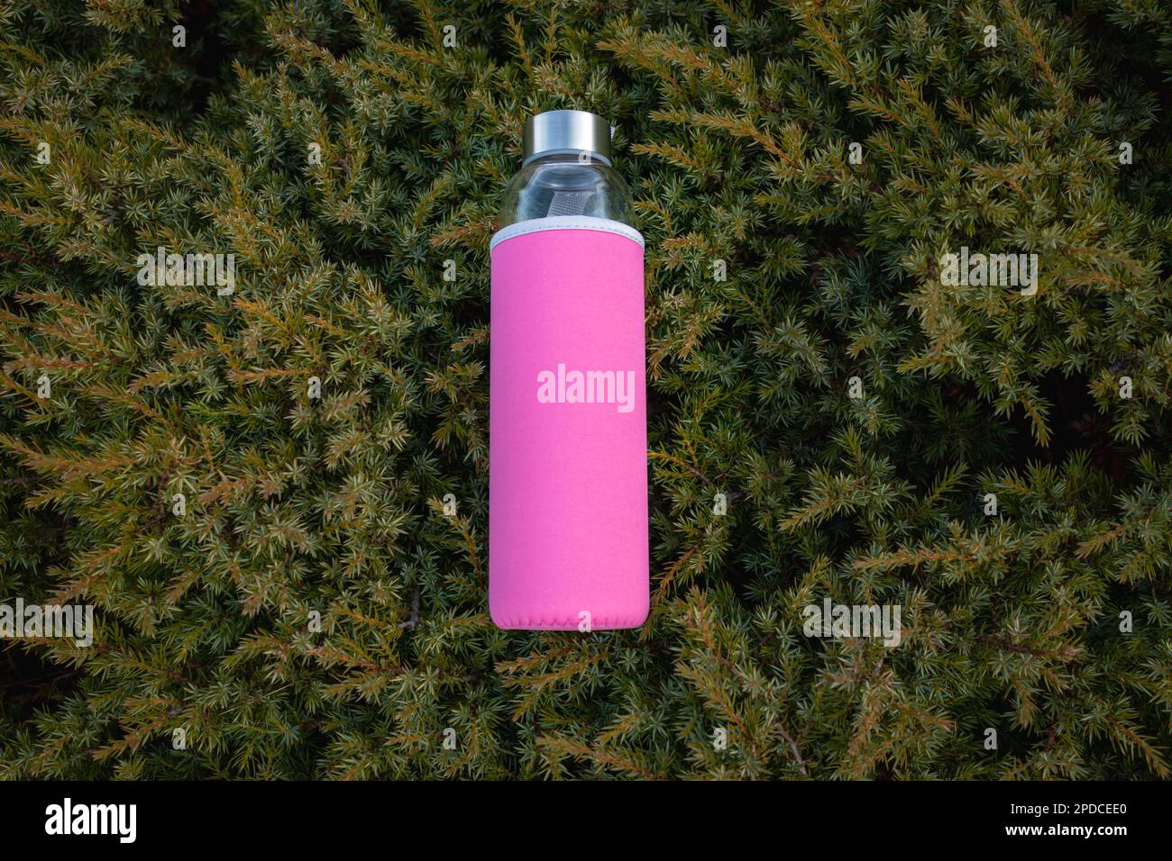 Refreshing hydration with a touch of sweetness: Glass water bottle with ...