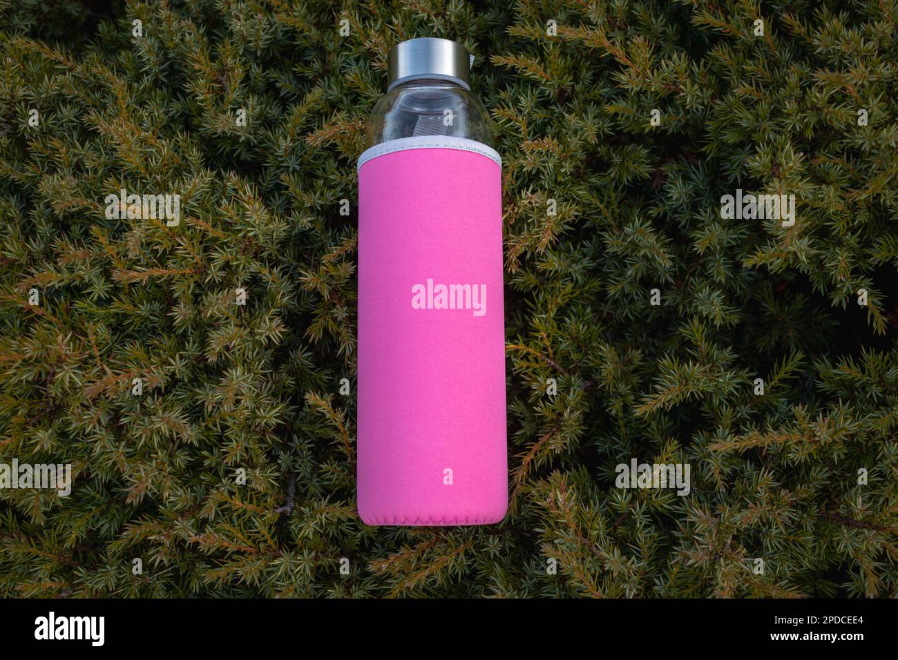 Refreshing hydration with a touch of sweetness: Glass water bottle with ...