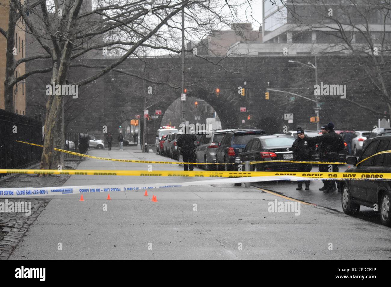 Manhattan, United States. 14th Mar, 2023. Cones are placed on shell ...