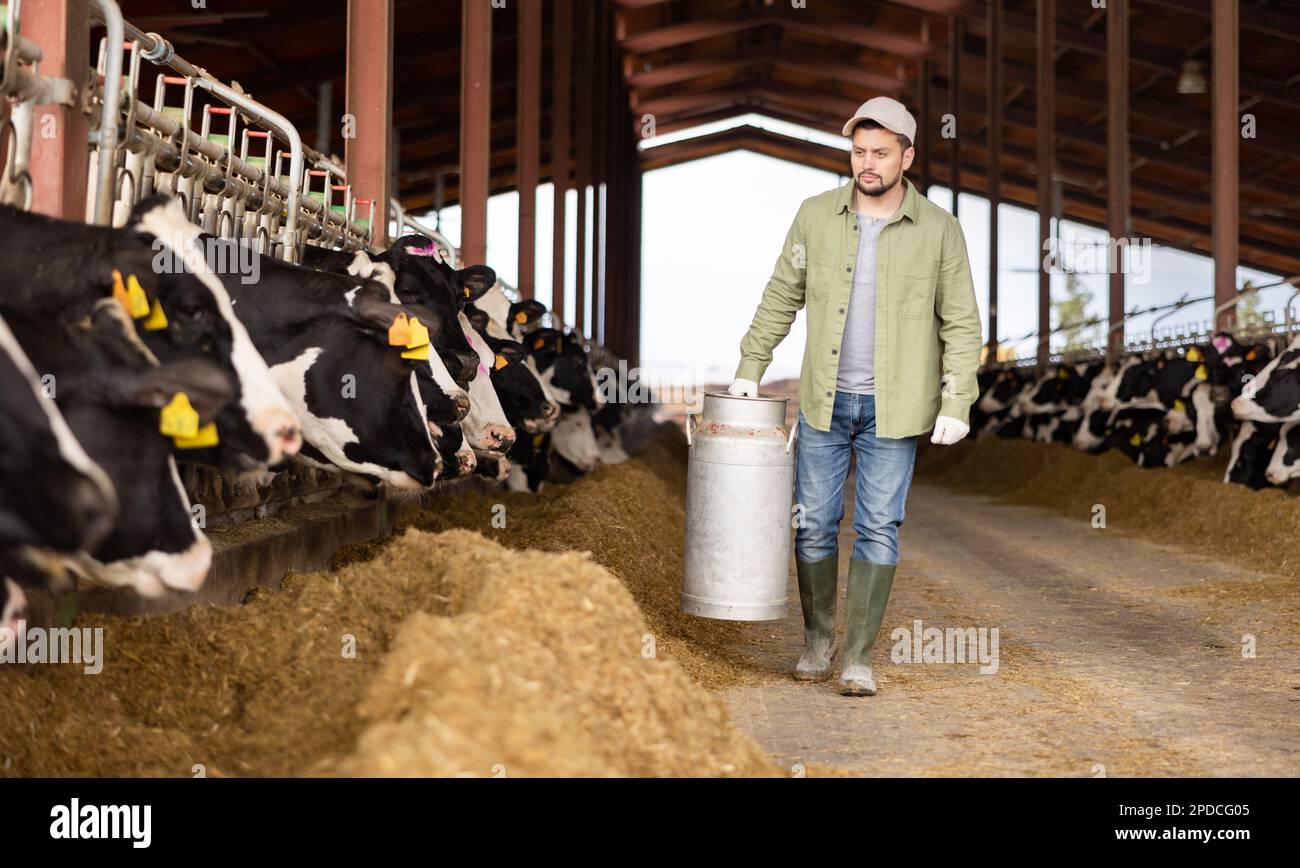 Man carrying cow hi-res stock photography and images - Alamy