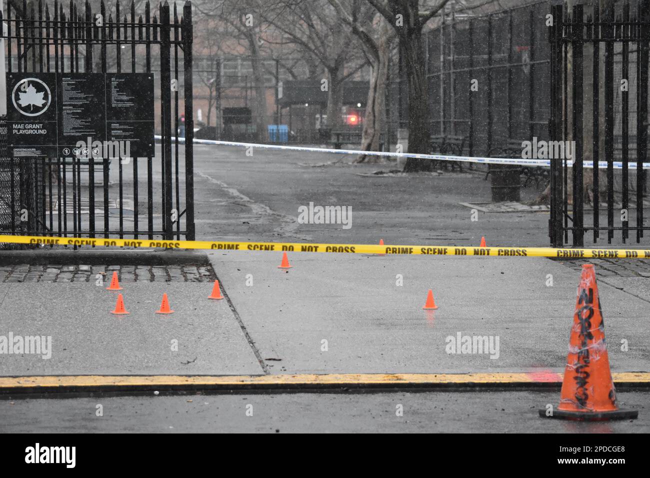Manhattan, United States. 14th Mar, 2023. Cones are placed on shell ...