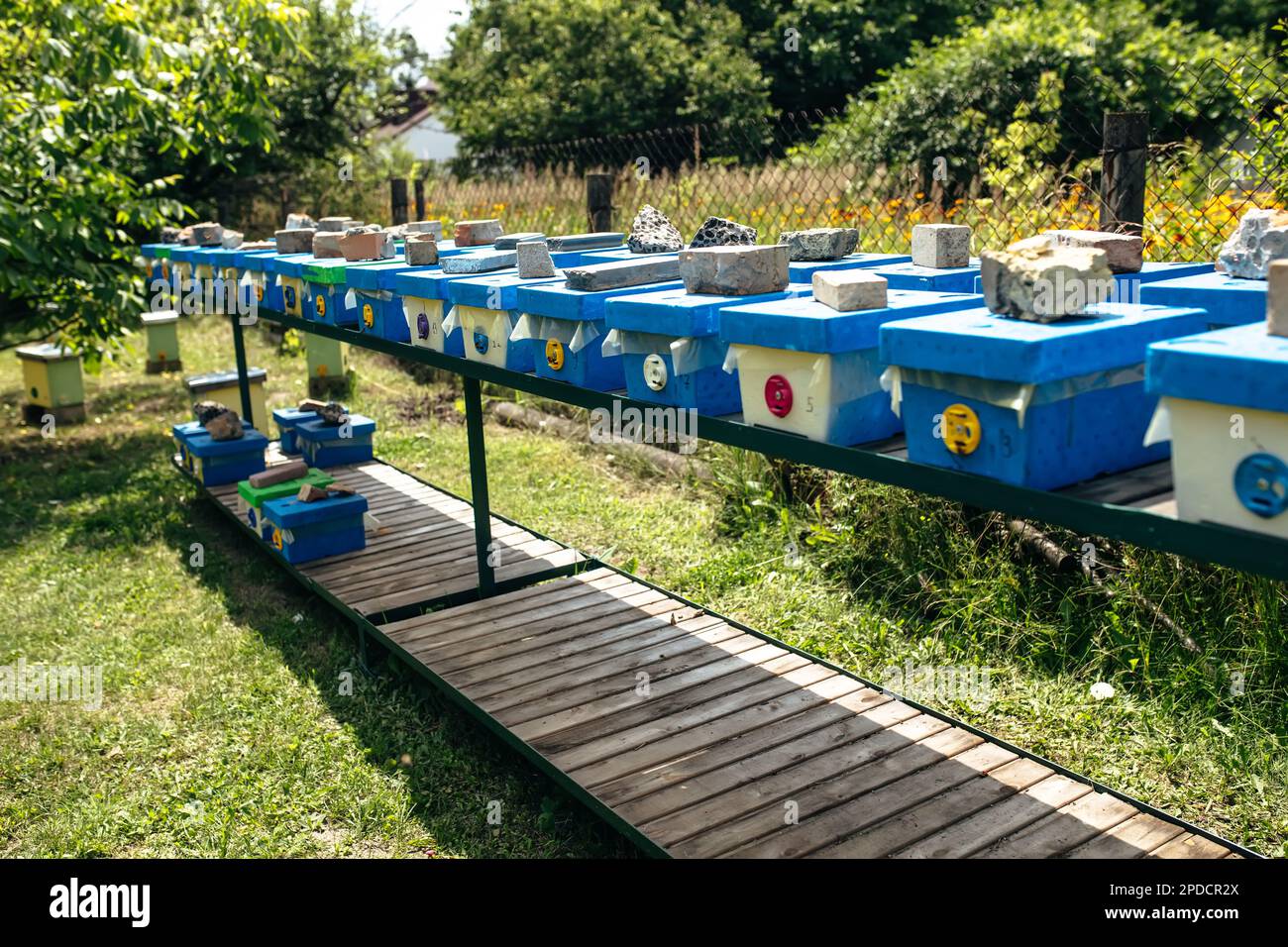 To hive a swarm, to make increase from a colony, make up a nucleus ...