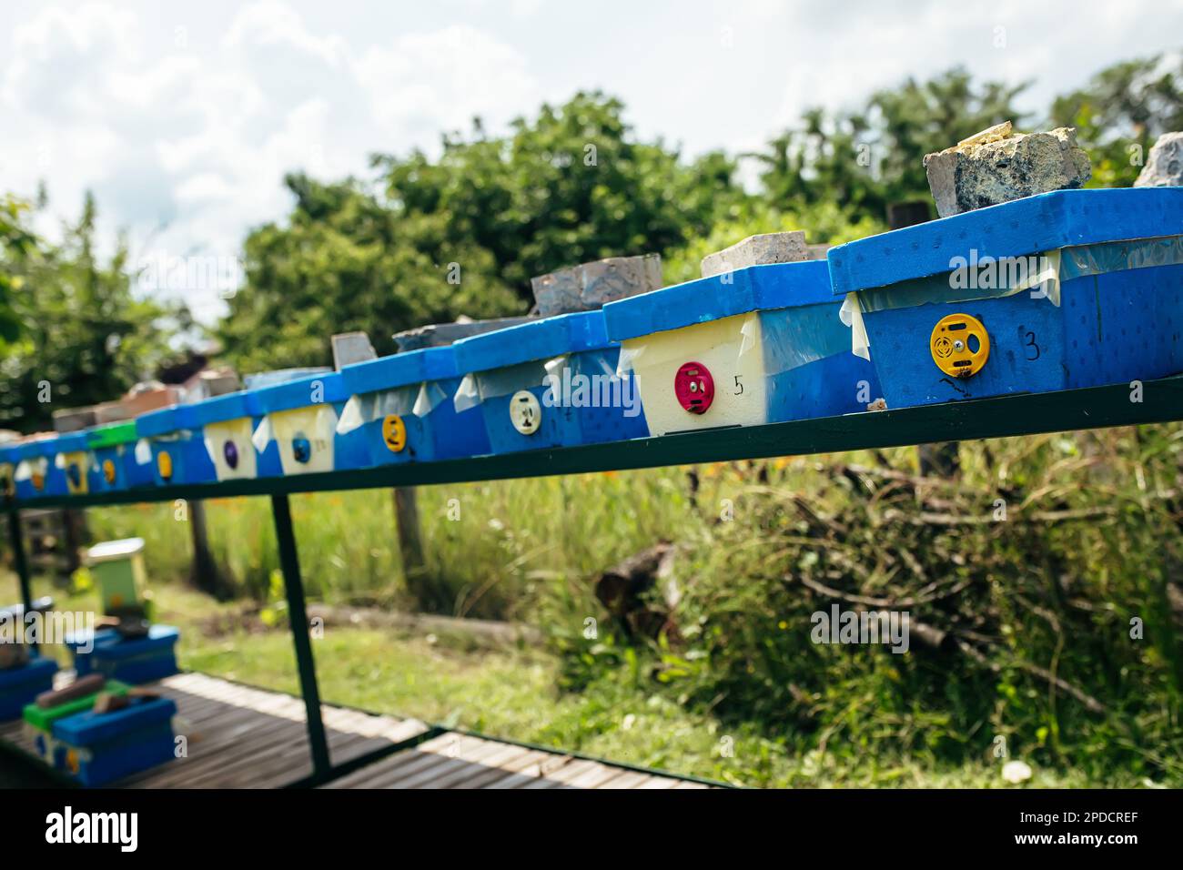 To hive a swarm, to make increase from a colony, make up a nucleus ...