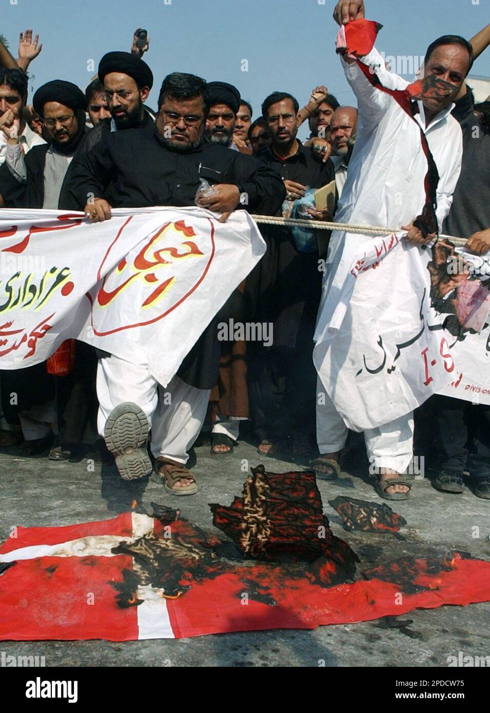Pakistani Shiite Muslims burn a Danish flag to condemn the publication ...
