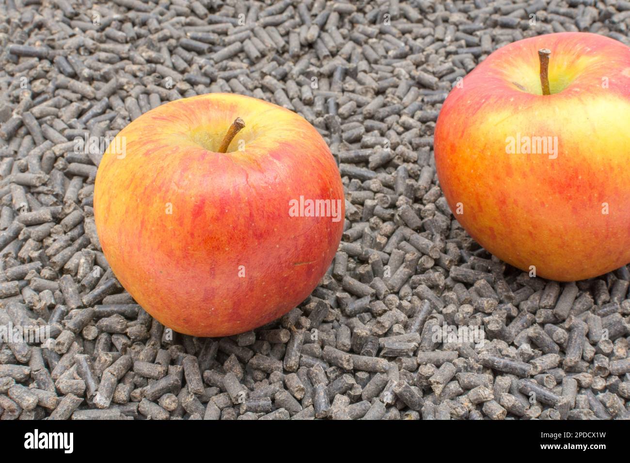 Animal feed pellets and human food side by side. For animal / livestock ...