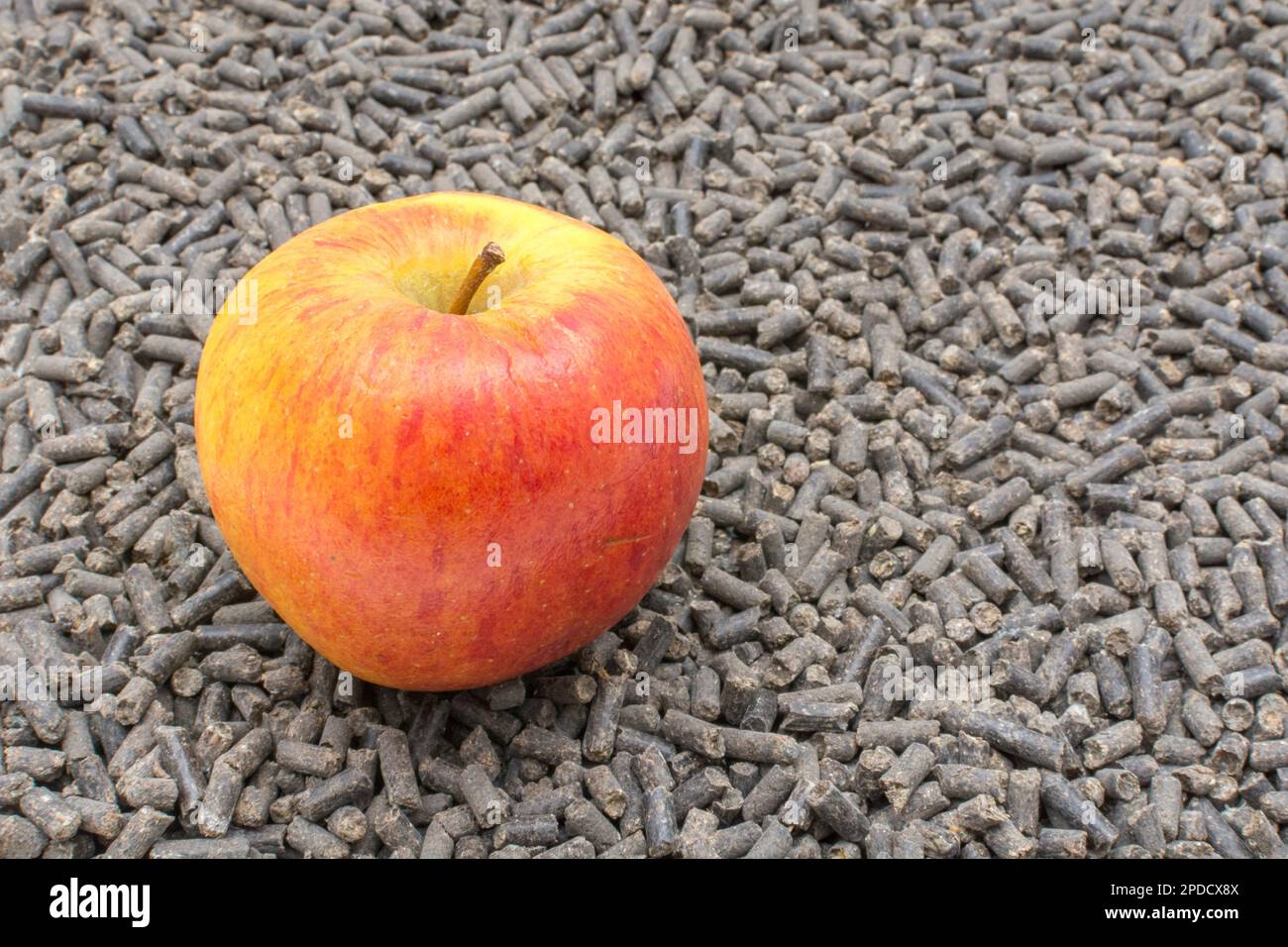 Animal feed pellets and human food side by side. For animal / livestock ...