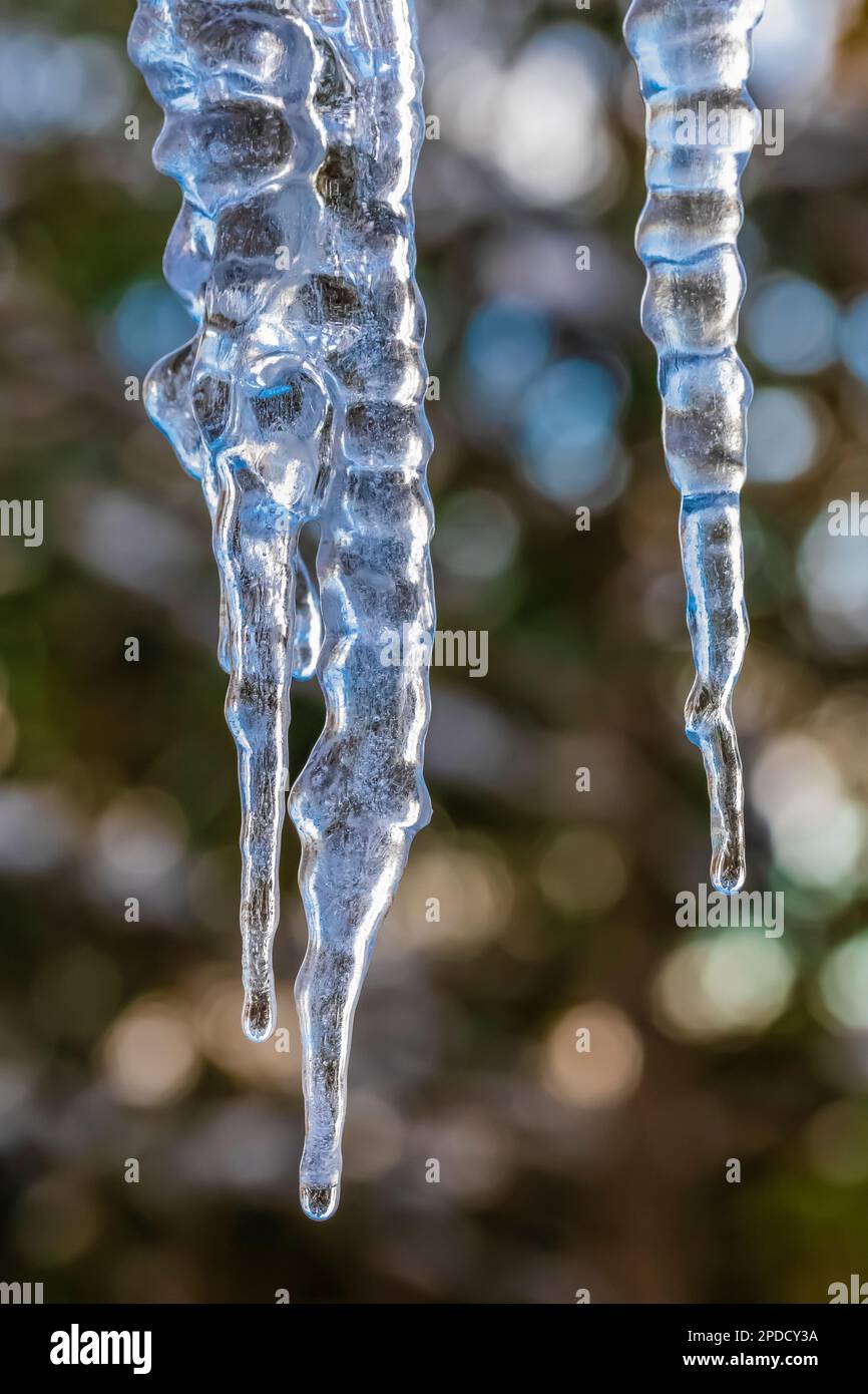 Icicle details of the Curtains ice formation used by ice climbers in ...