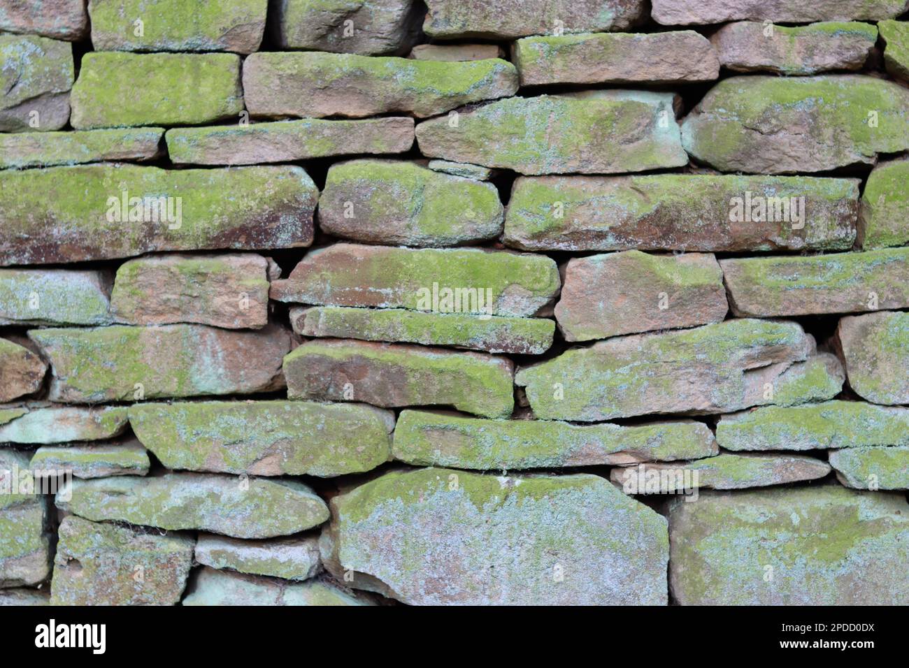 Close up of a section of old dry stone wall tinged with blue and green ...
