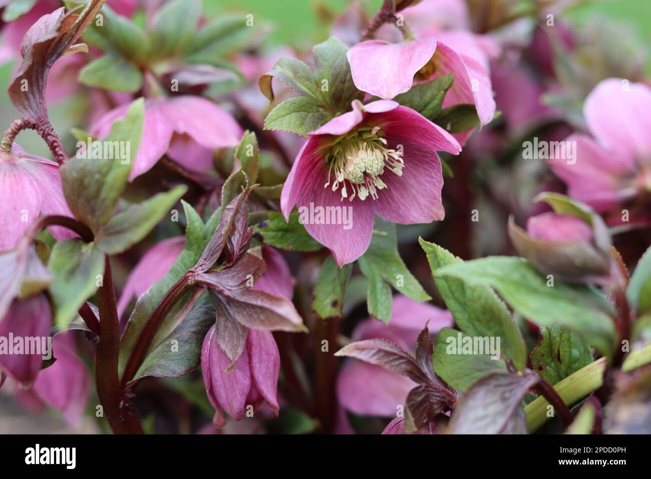 Emerging into the sunshine hi-res stock photography and images - Alamy