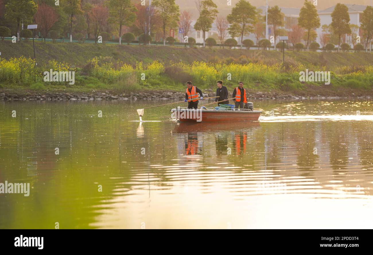 PINGXIANG, CHINA - MARCH 13, 2023 - River cleaners patrol the Xiangdong ...