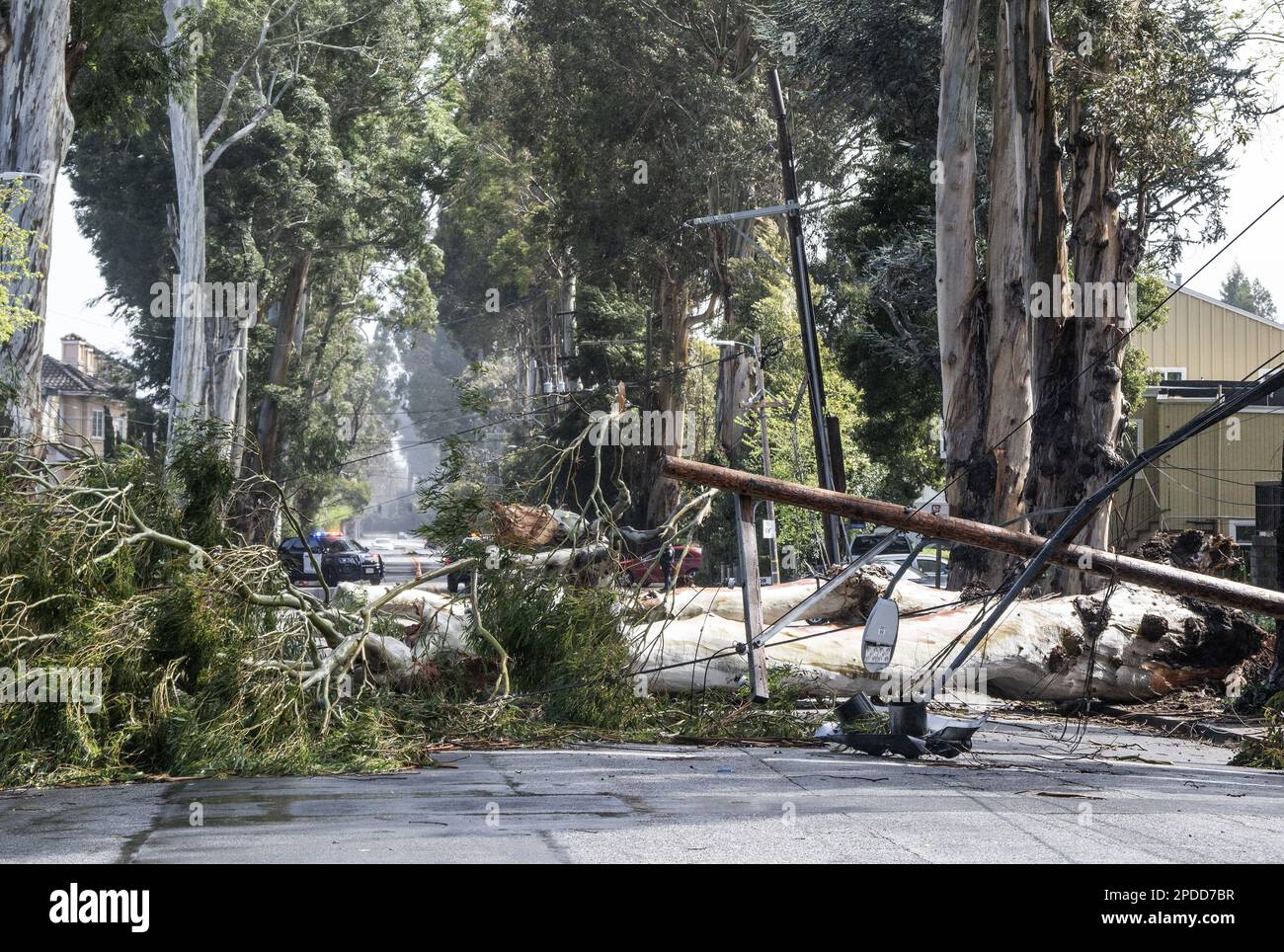 50 mph winds hi-res stock photography and images - Alamy