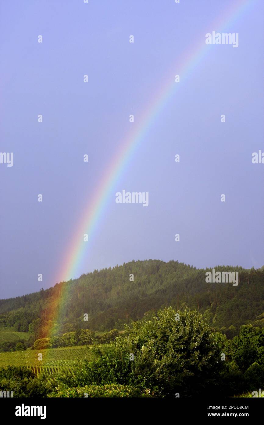 rainbow over vineyards, Germany Stock Photo - Alamy