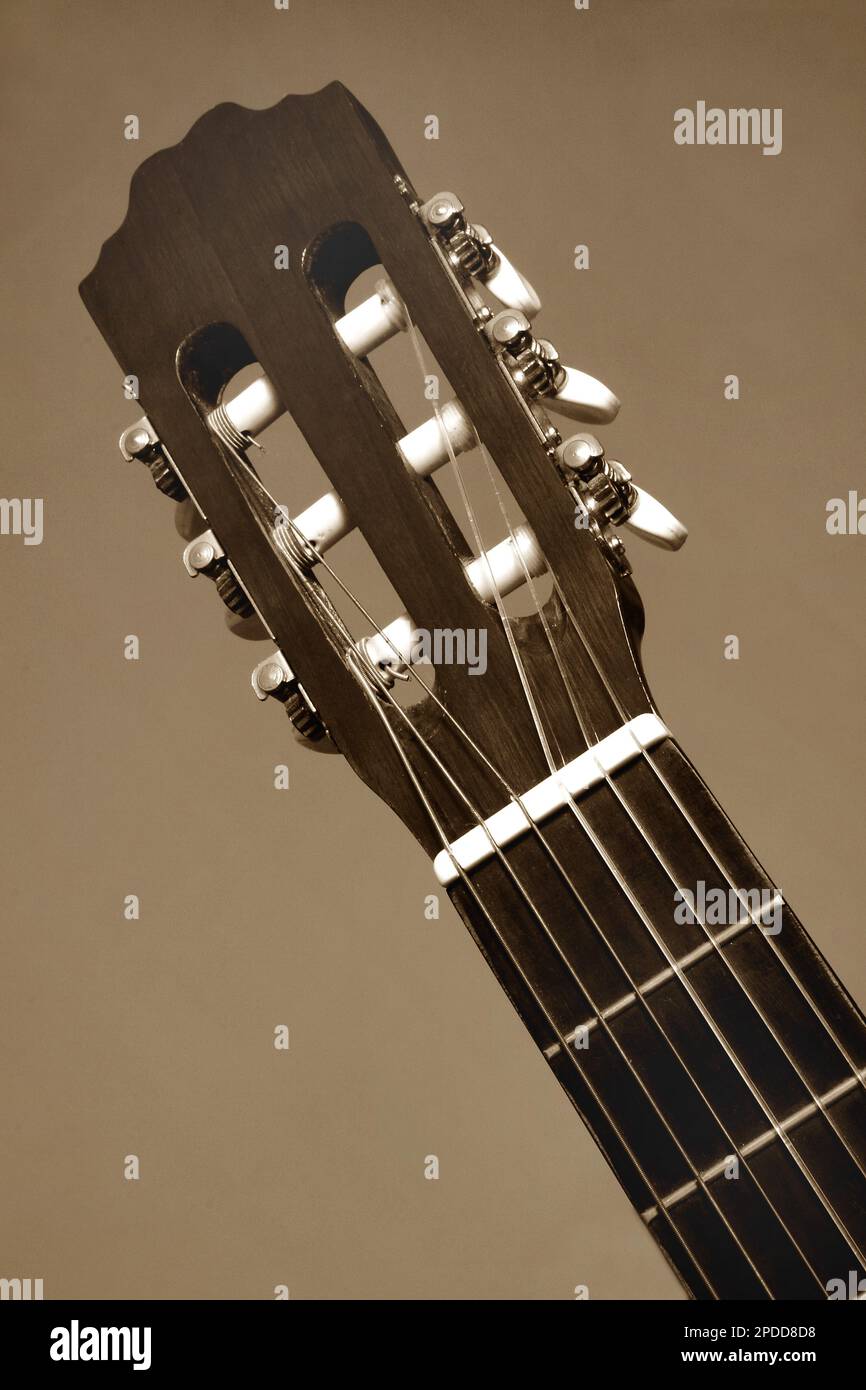 chords of a guitarre, bridge, pegs Stock Photo - Alamy