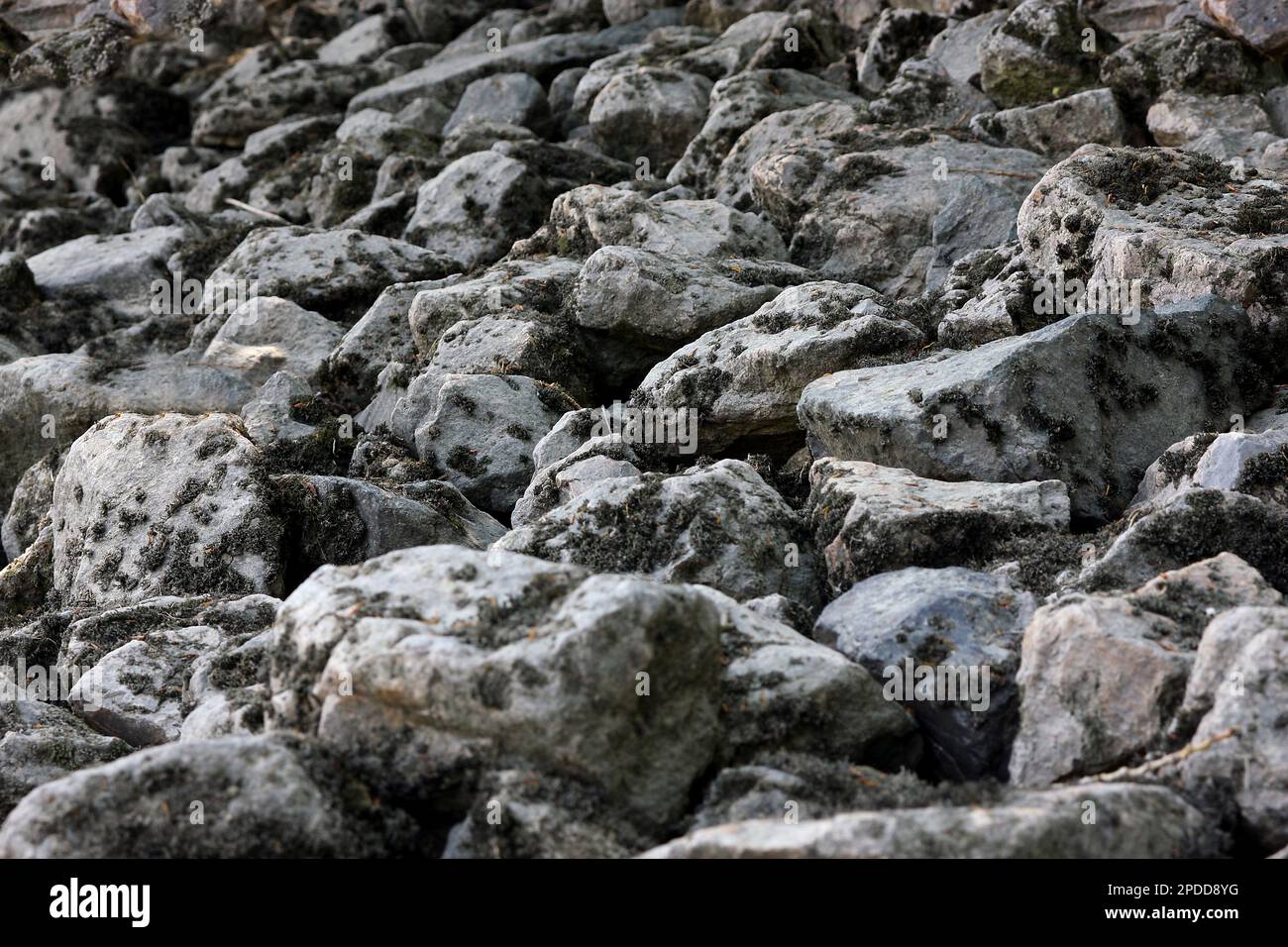 Protection of rocks hi-res stock photography and images - Alamy