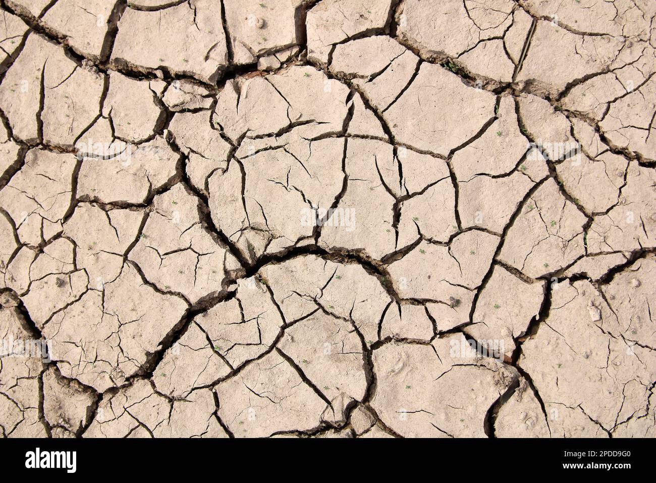 Soil shrinkage hi-res stock photography and images - Alamy