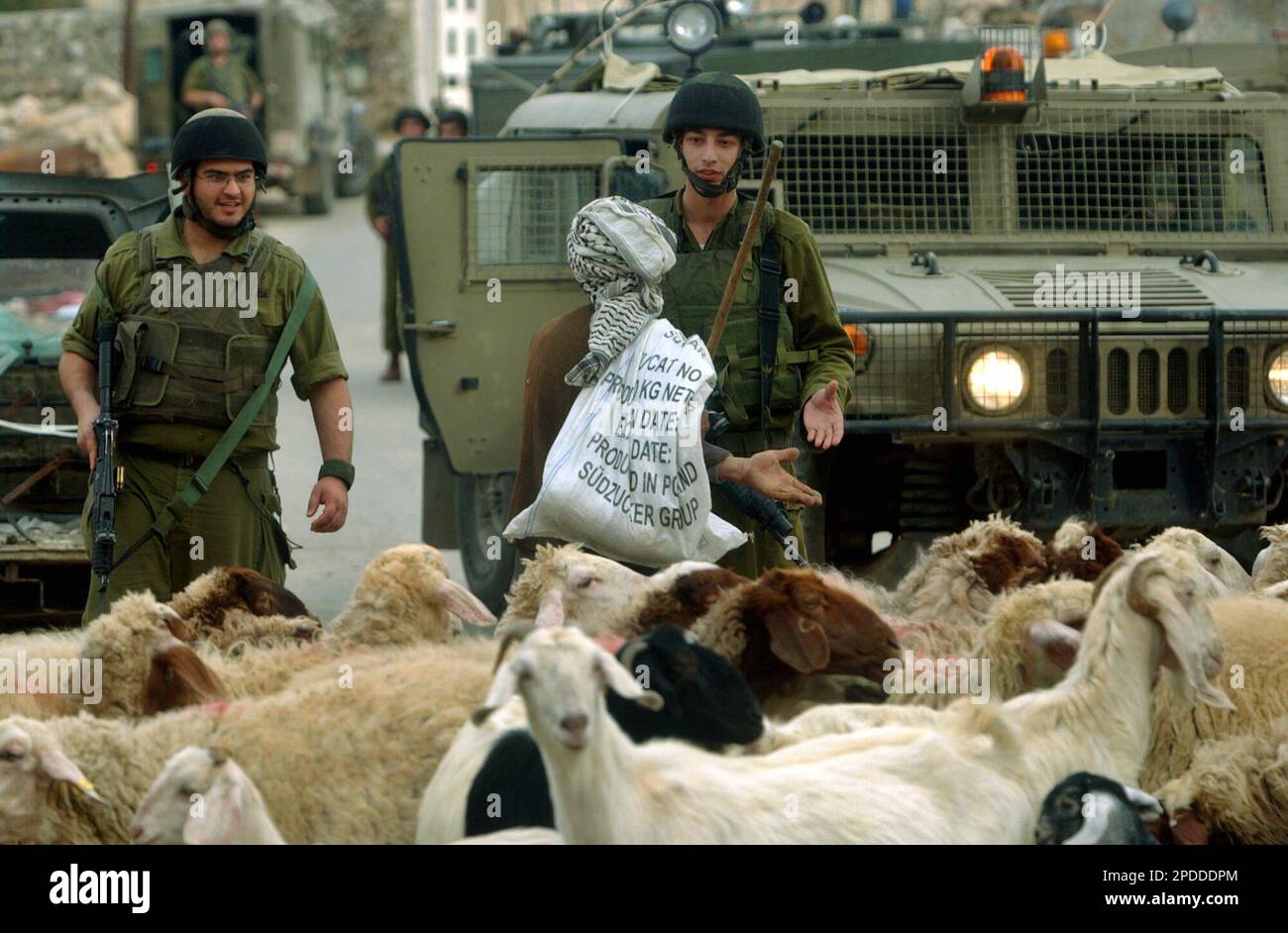 Israeli soldiers talk to a Palestinian shepherd during an Israeli ...