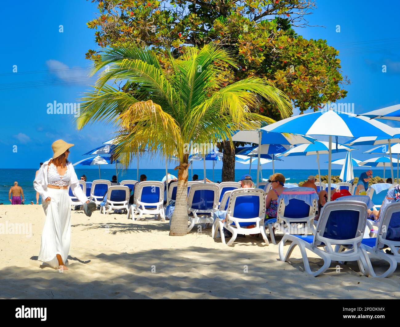 LABADEE, HAITI -January 31, 2023: Labadee is a port located on the ...