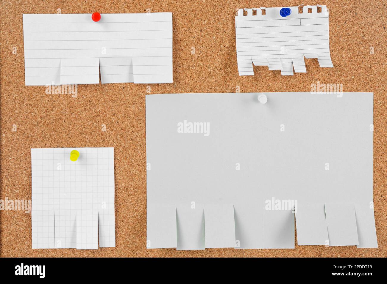 Blank paper tear-off ads on pinboard Stock Photo - Alamy