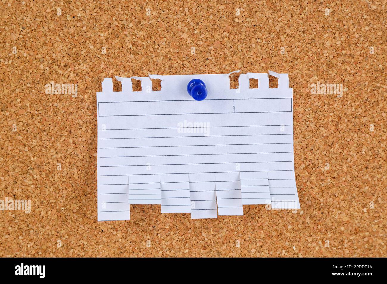 Blank paper tear-off ad on pinboard Stock Photo - Alamy Blank paper tear-off ad on pinboard Stock Photo - Alamy