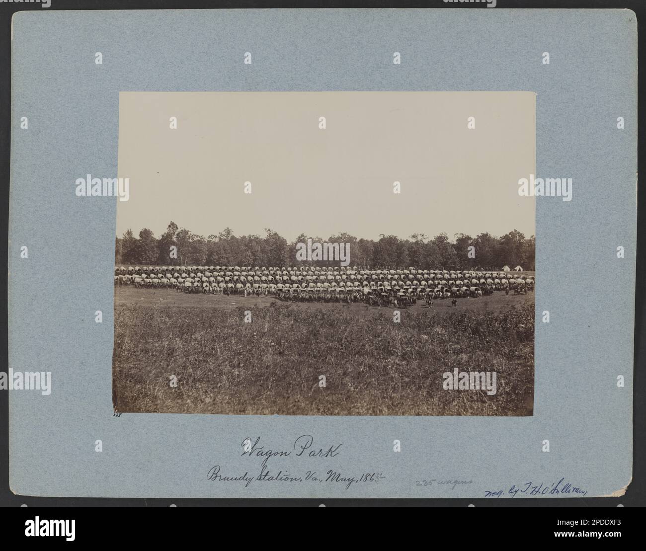 Wagon park, Brandy Station, Virginia, May 1864. Civil War Photographs ...