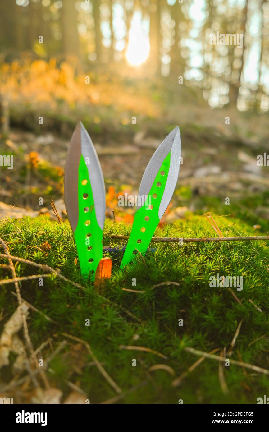 Throwing knives.Throwing projectiles and throwing sports.Green and ...
